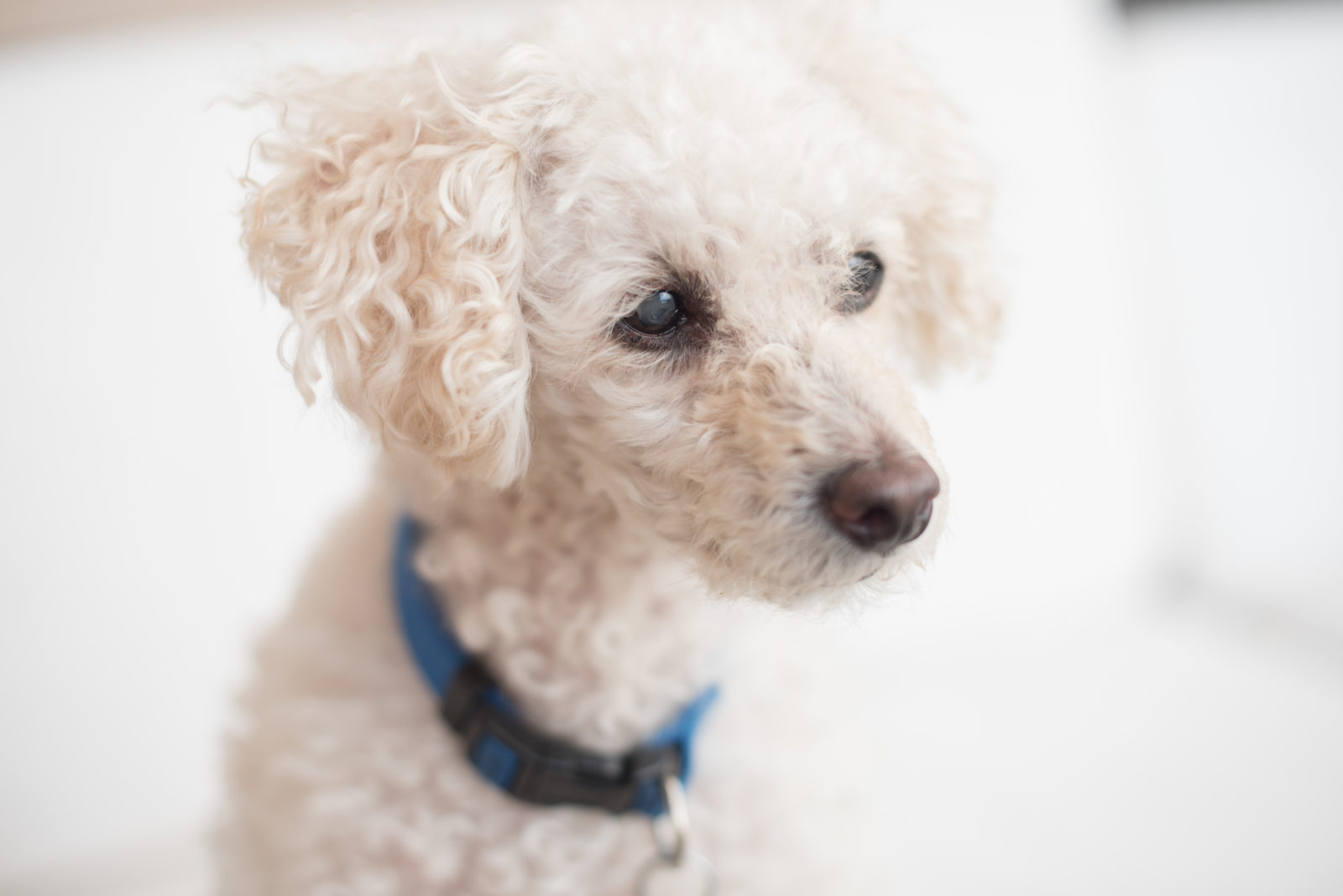 Target Persona – Why it matters for social media | 20degreesmedia.com